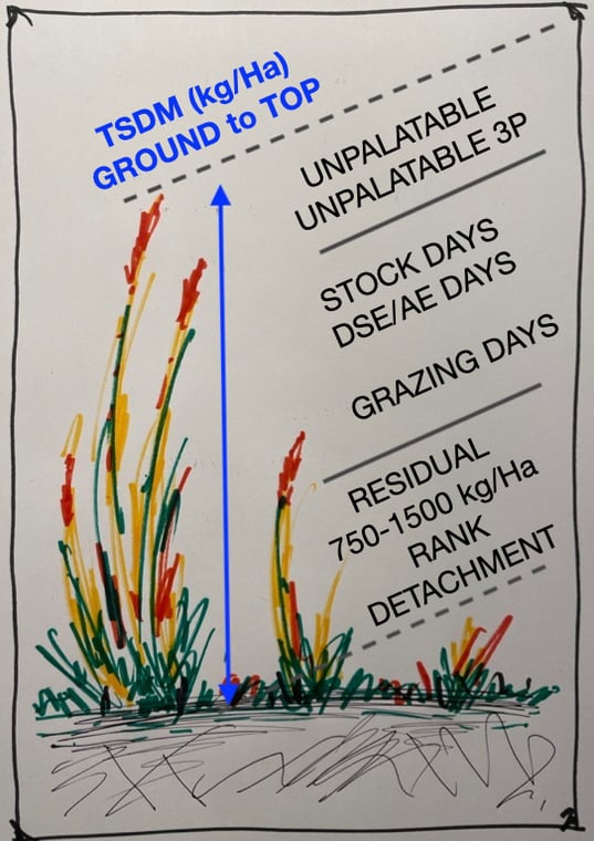 Getting yourself 'Calibrated' for Visual Pasture Biomass Estimations