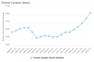 Forest Carbon Report